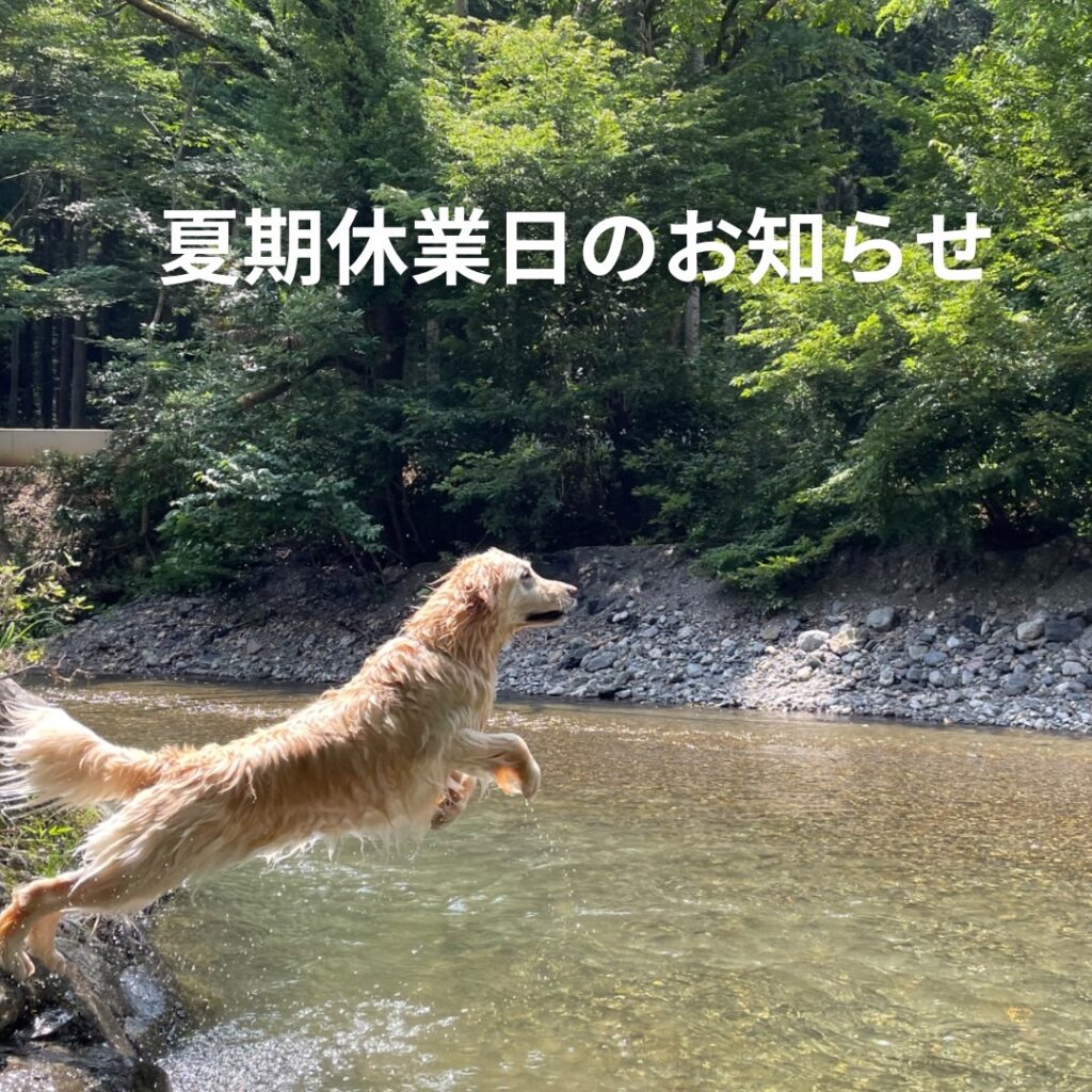レトリバーグッズのデザインストア coosee
